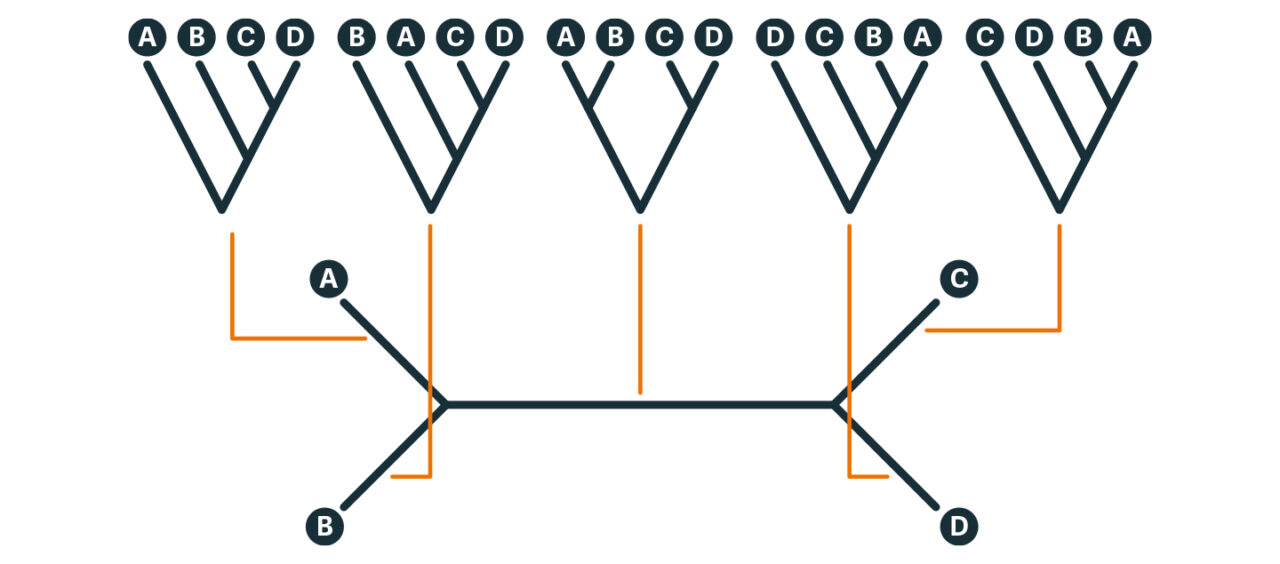 Evolutionary origins of honey bees - Bee Craft Ltd